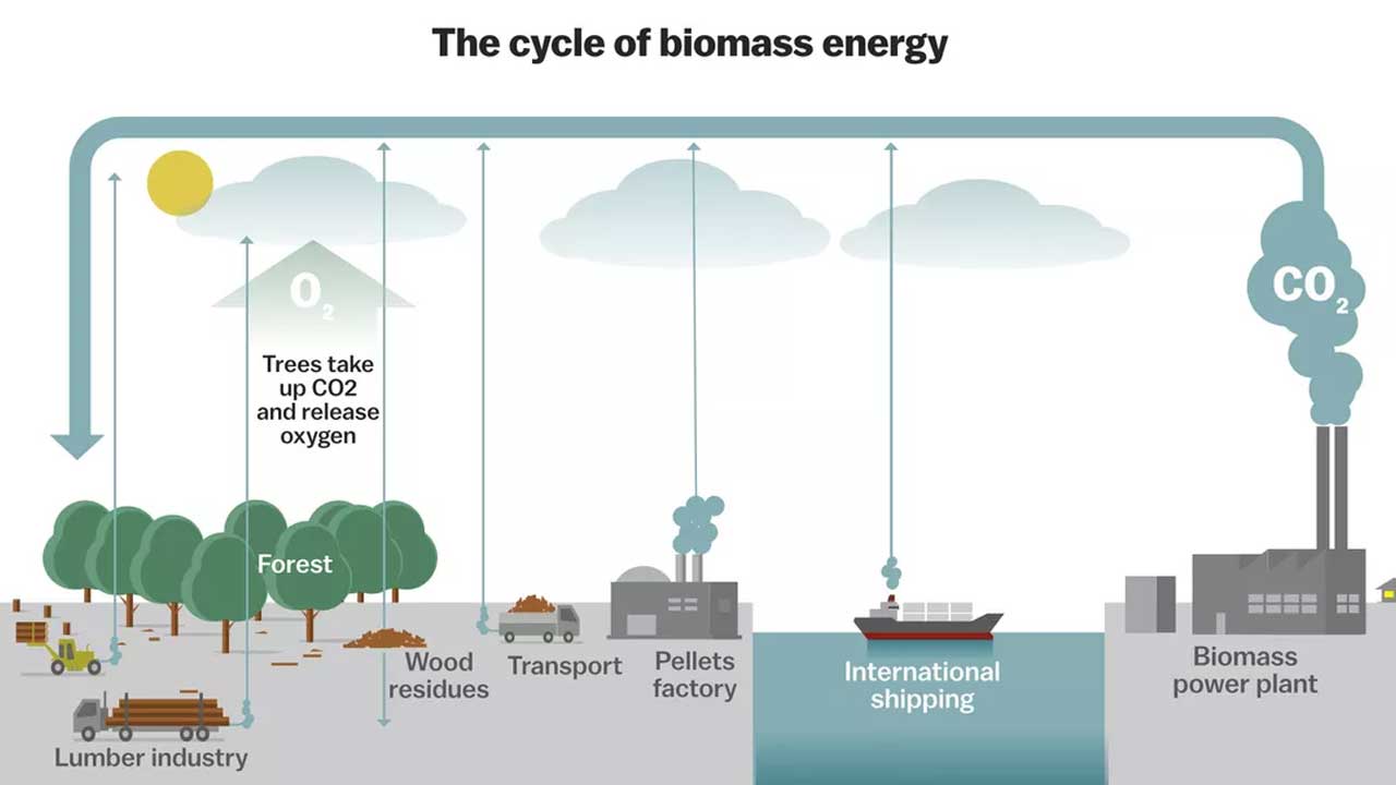 About Us – Jayin Biomass Sdn. Bhd.